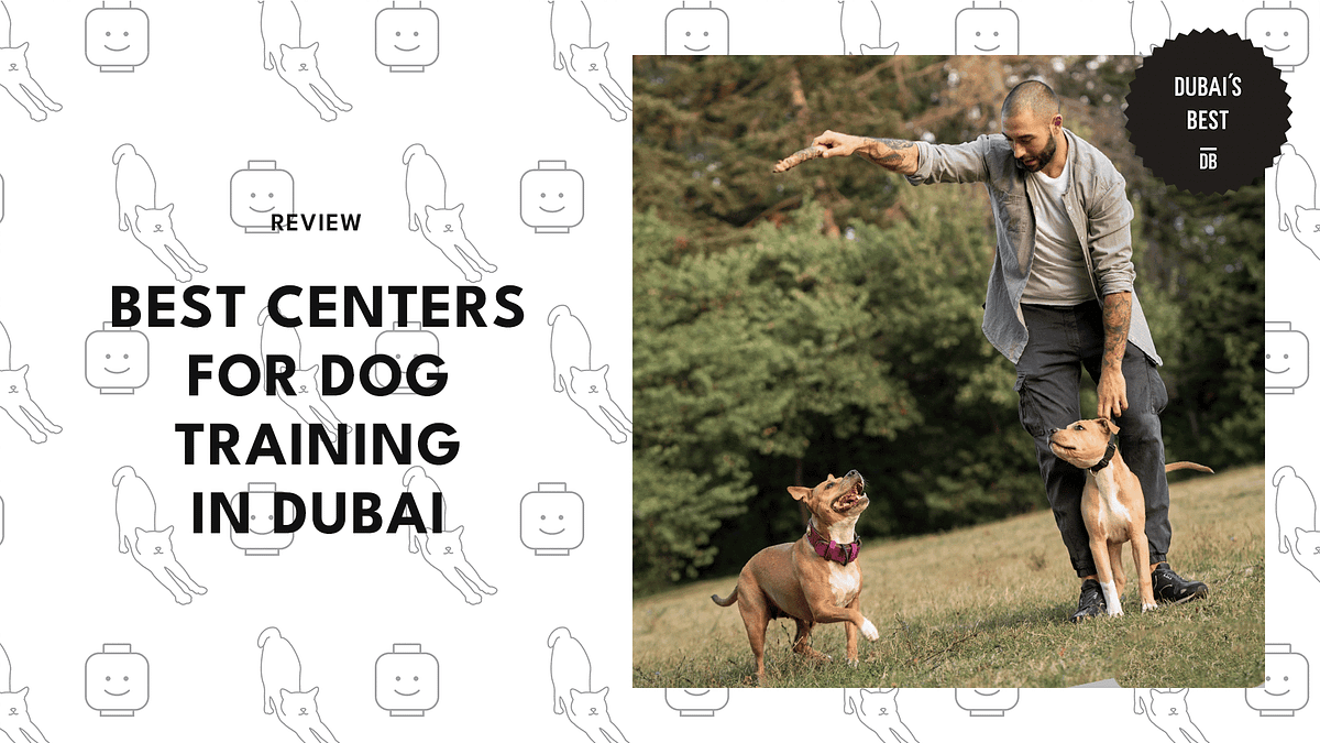 Dog Training Reviews: The Best Training Programs for 2024 | by ...