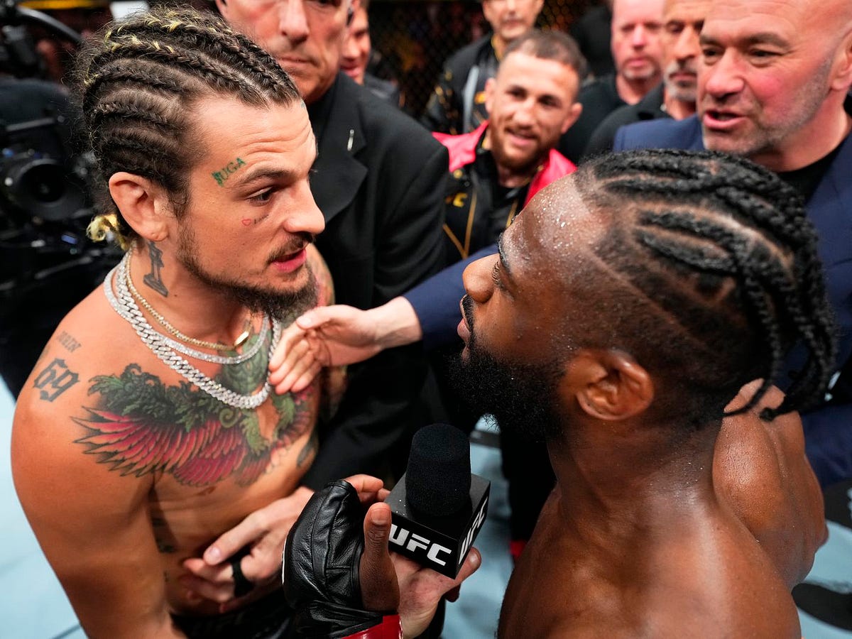 UFC 292: Aljamain Sterling vs Sean O’Malley Breakdown | by Arabi Al ...