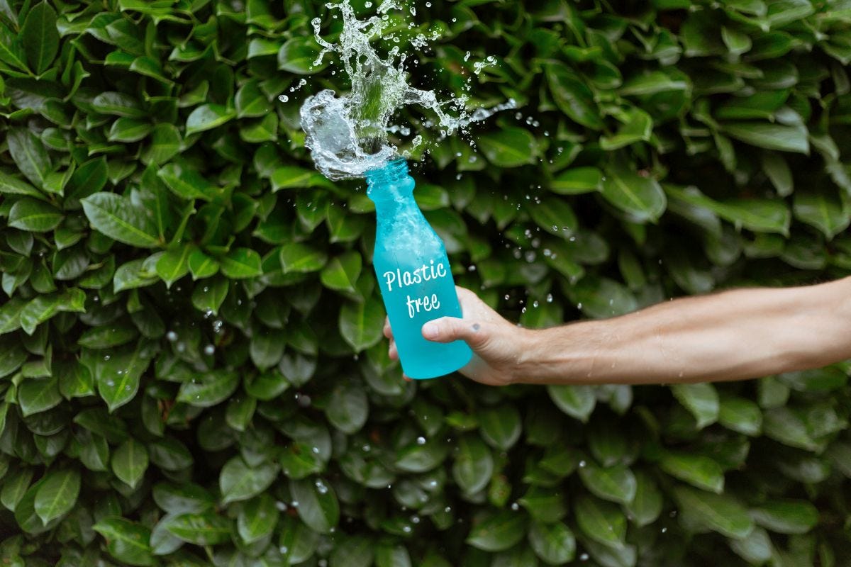 Your ecological mindset and its effect on the environment | by ...