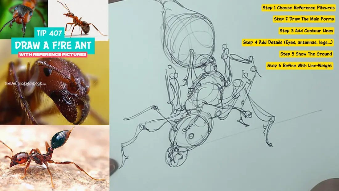TIP 407 How to Draw a Fire Ant with Reference Pictures: Step-by-Step ...