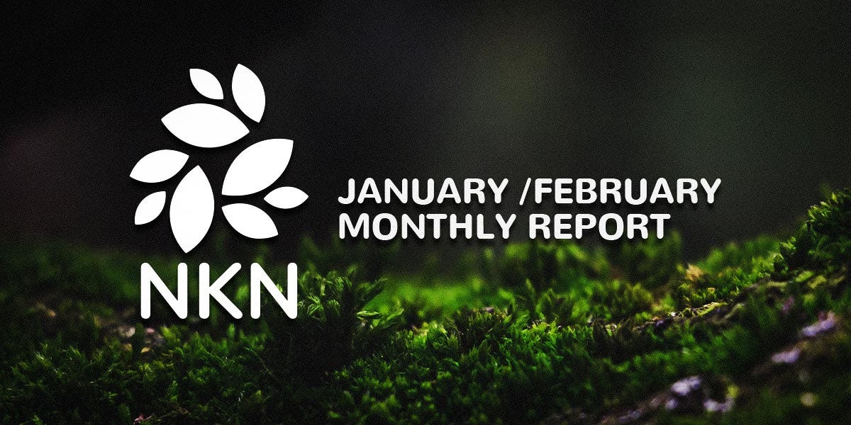 NKN Monthly Report: January and February 2023 | by NKN | #NKN | Medium