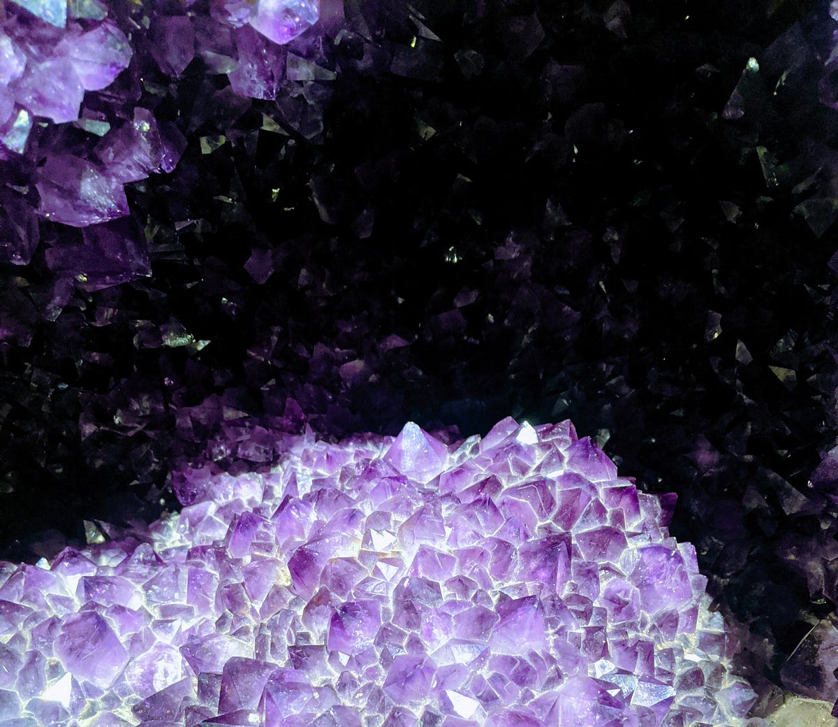 A Certain Shade of Purple. Do you believe? | by Edward Swafford | Know ...