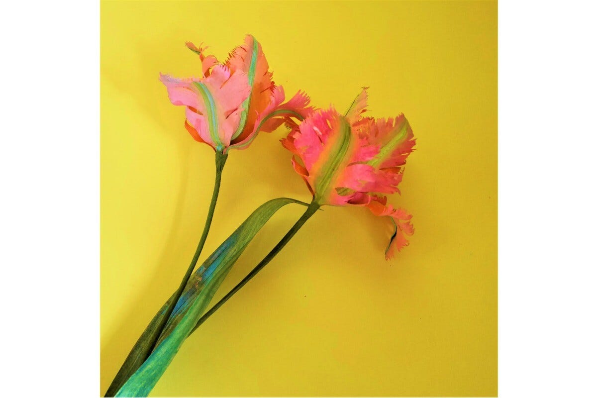 Open French Tulip Paper flowers 3D SVG Crafts | by Izukumi | May, 2024 ...