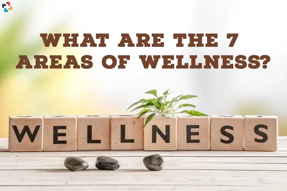 What are the 7 Areas of Wellness? | by Thelifesciencemagazine | Medium