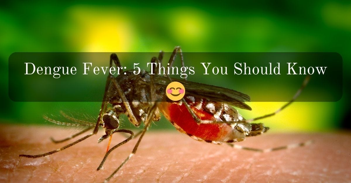 Dengue Fever: 5 Things You Should Know 😊 — Health Mafia | by ...