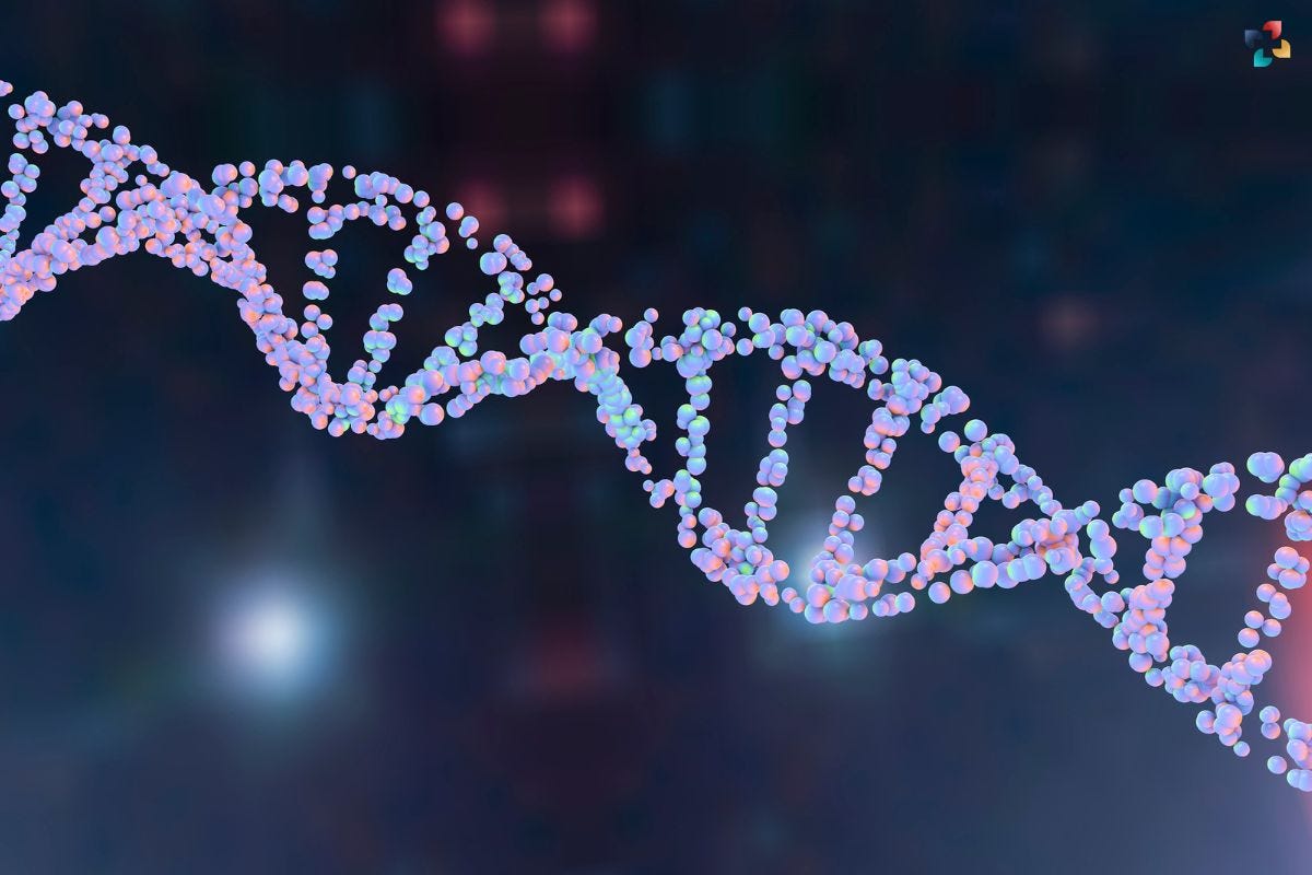 RecA Protein Omits The DNA Repair Process’ “Unwinding” Phase | by ...