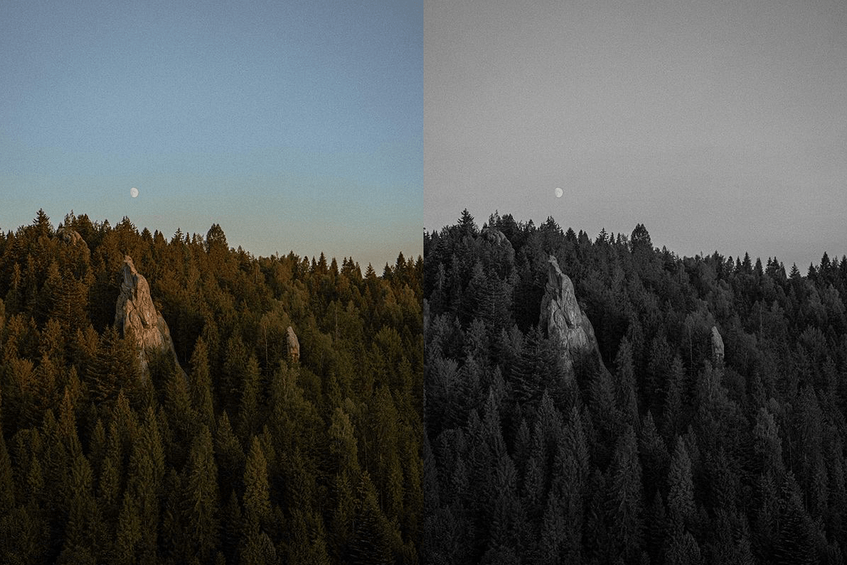 Complete Guide to Data Augmentation for Computer Vision | by Olga ...