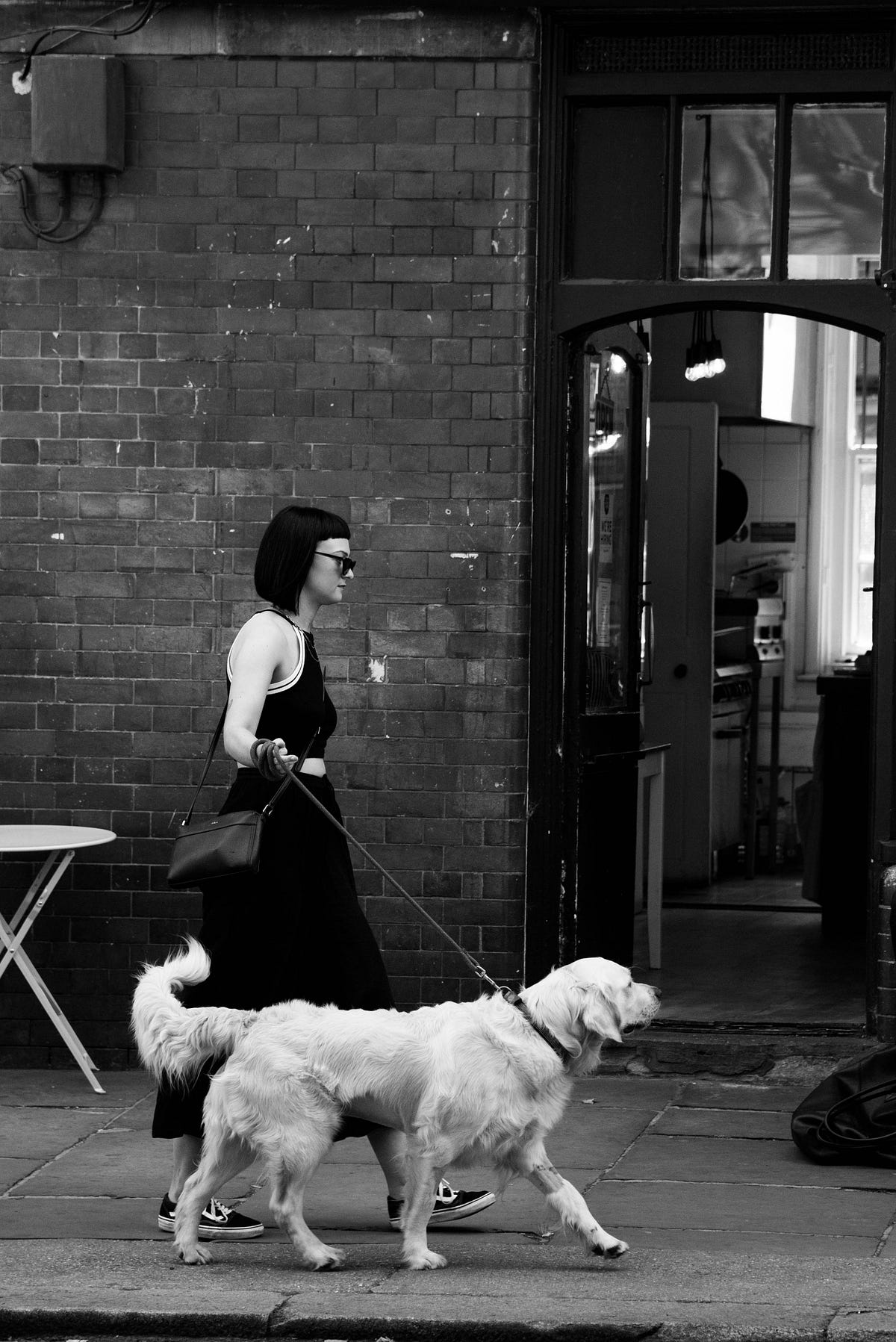 8-types-of-pet-owners-that-i-ve-encountered-as-a-veterinarian-by-the