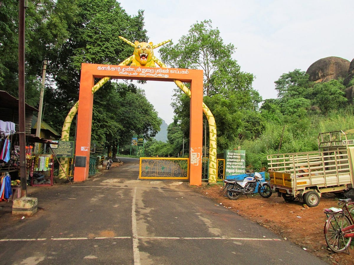 Kalakad Mundanthurai Tiger Reserve | by Curious Birdie | Sep, 2023 | Medium