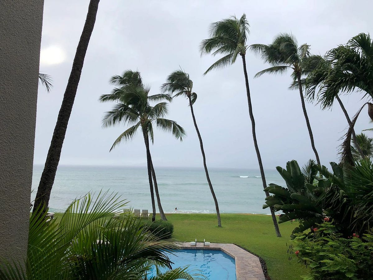 Sheehan Family Maui Trip 2018. MAUI 2018- DAY 1 | by Christy Sheehan ...