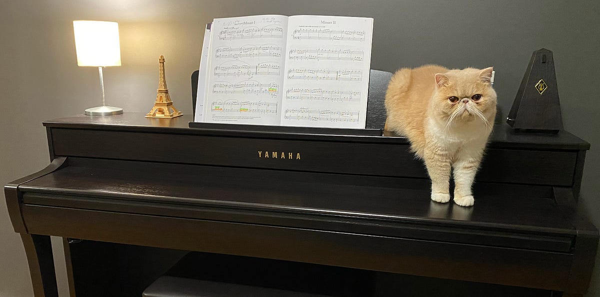 Piano in the time of Corona. If you’ve been following me here… | by ...