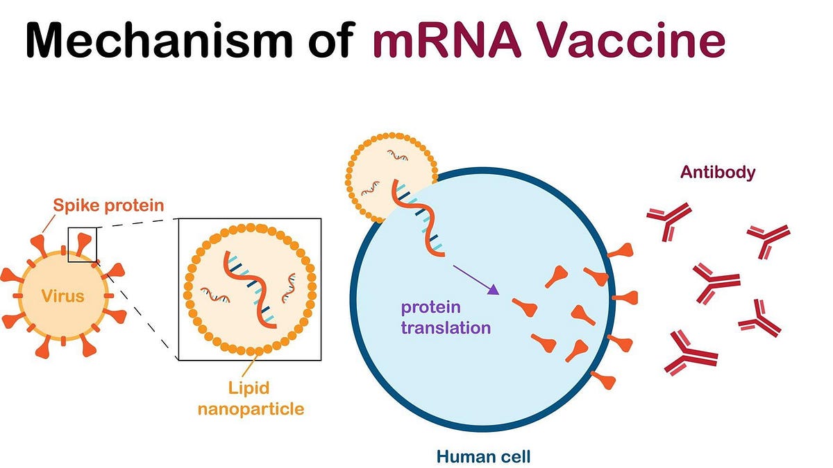 Advancements in mRNA Vaccines: How New Technologies are Shaping the ...