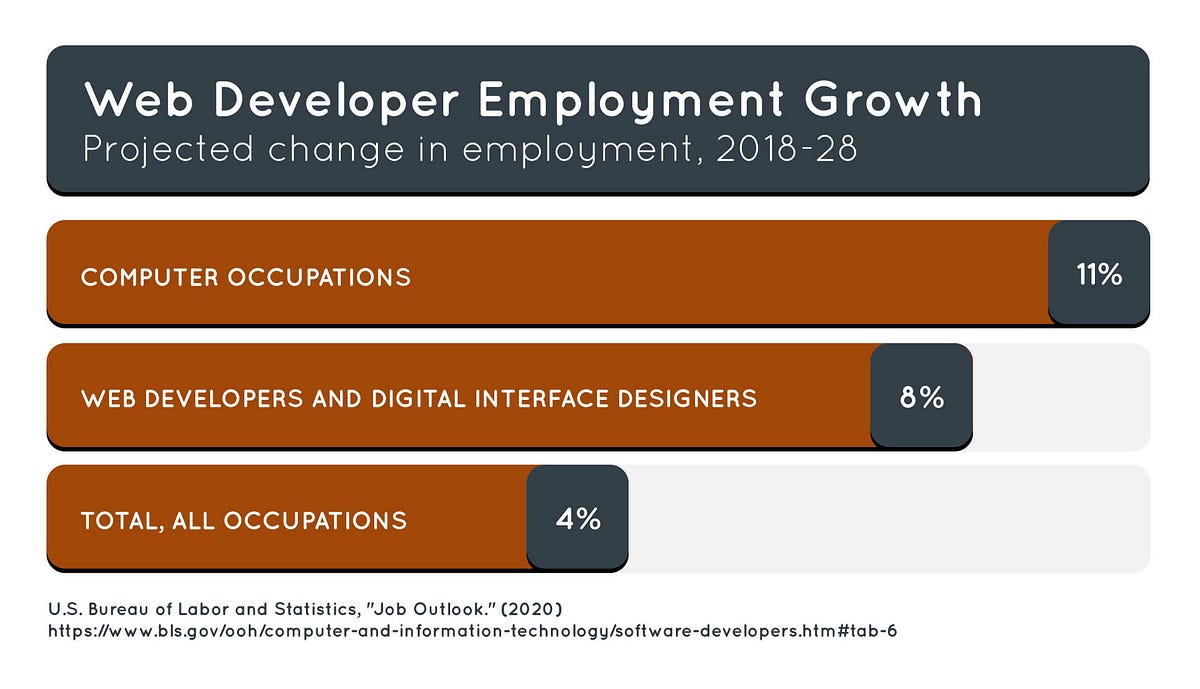 Best Web Developer in Nebraska: Unlock Elite Coding Skills | by David ...