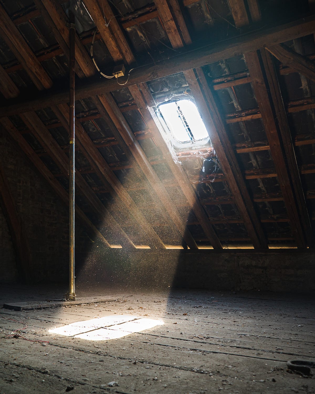 Where do all the lost things go?. Photo by Mika Baumeister | by ...