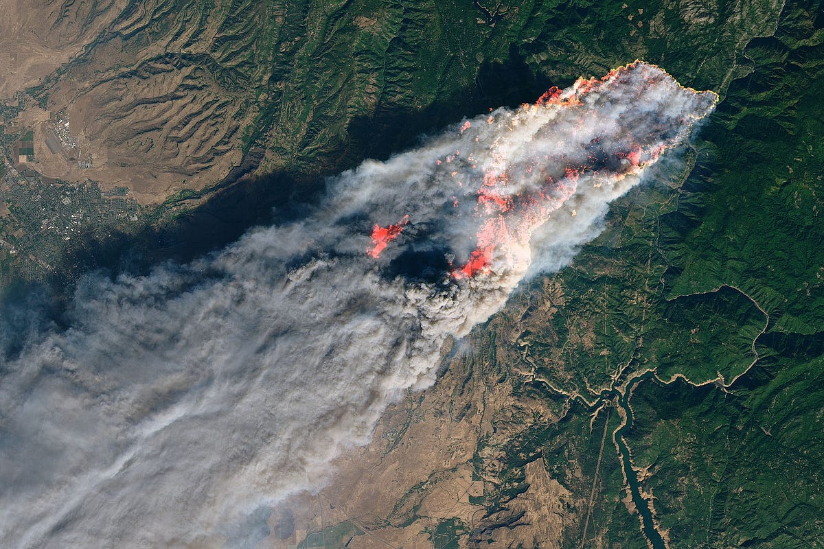 The Camp Fire: A Comedy of Errors and the World’s Costliest ‘Oops ...