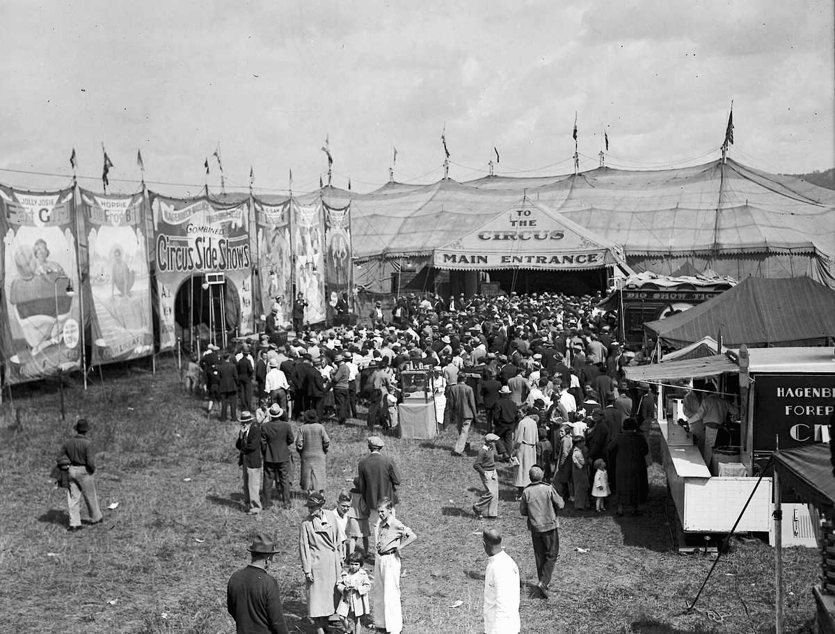 What Was Circus Like 200 Years Ago | by Amna Fayyaz | Be Open - Writers ...