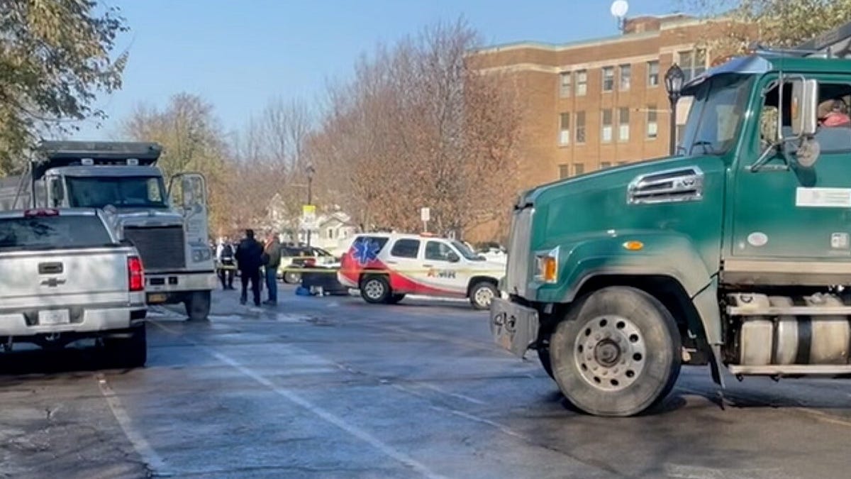 City of Buffalo Tree Removal: Essential Guide | by Audrina Bunton | Jul ...