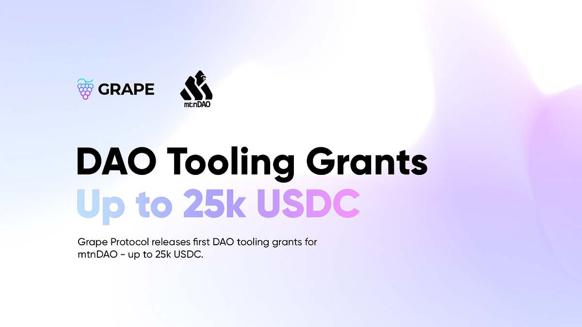 Grape Protocol Memberikan Grants untuk mtnDAO | by Joe Libra | Medium