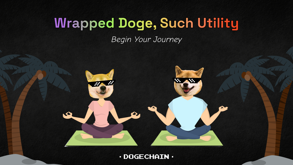 Understanding Wrapped Doge and Its role in the Dogechain Ecosystem | by ...