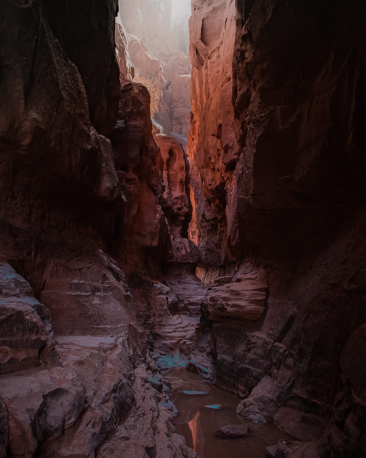 Art History: Cave Art. Uncovering the Enigmatic Worlds of… | by Phia ...
