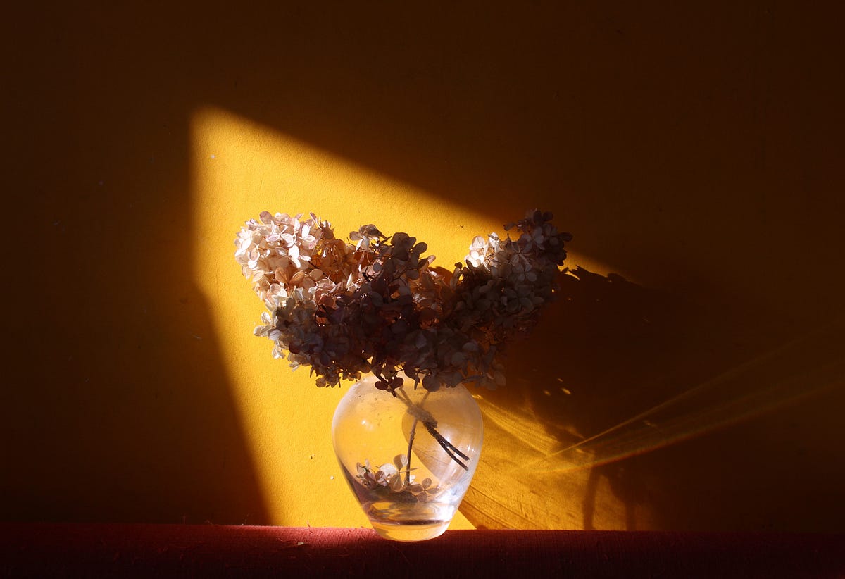 The Beautiful Crystal Vase. A Free Verse Poem of Loss | by James G Brennan | The POM | Medium