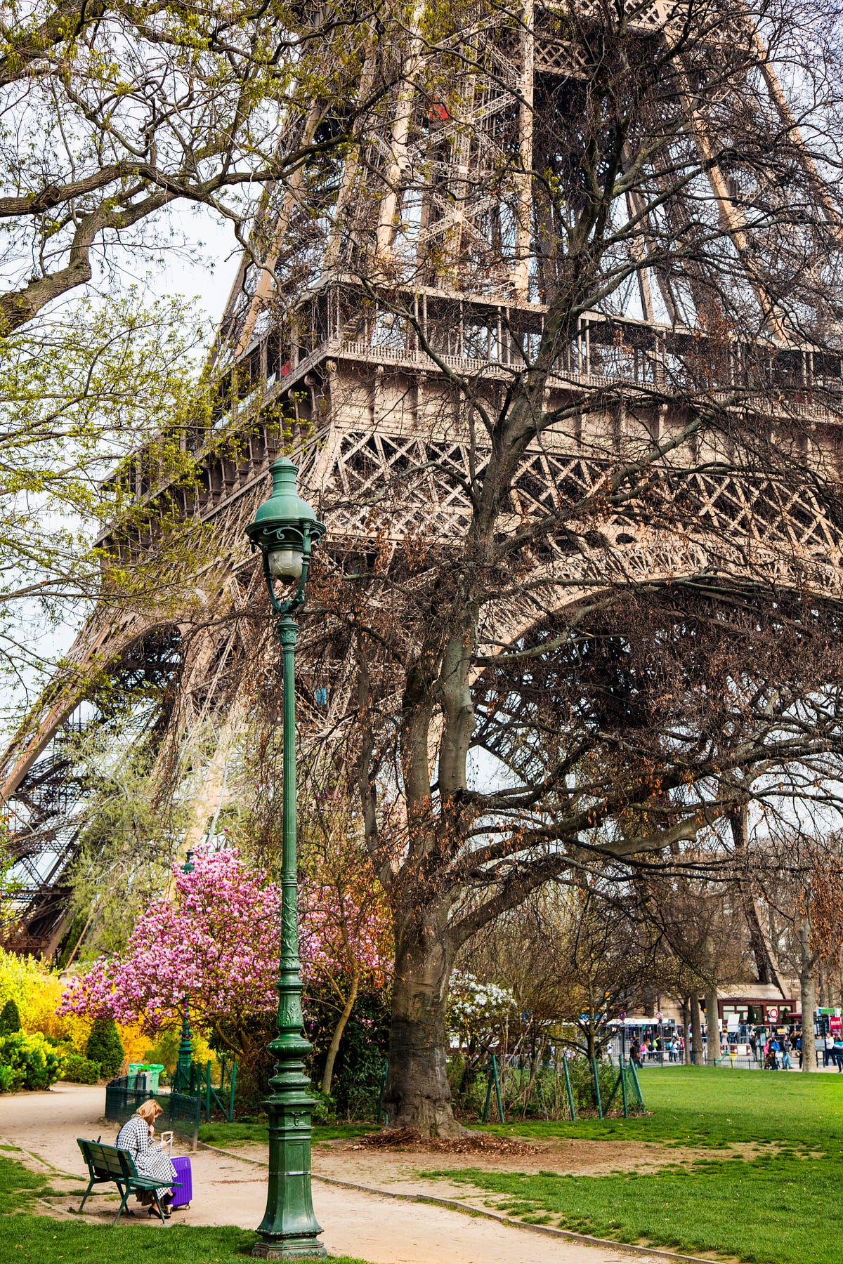 Kidnapped by a Muse. Poetry | by Connie Song | Scribe | Jun, 2023 | Medium