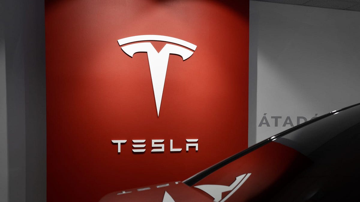 Tesla: Diversity is Crucial for Future Growth | by Kalan Karuppana ...