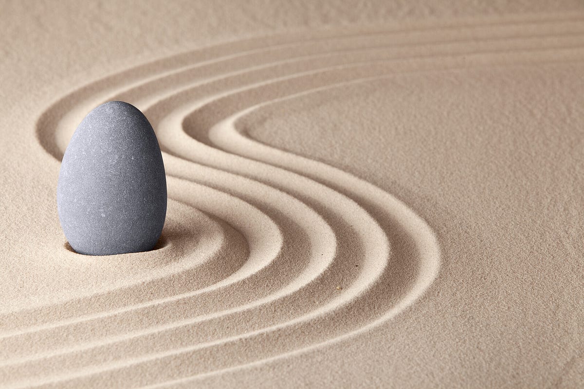 The Role Of Purpose In Our Emerging Future | by David Kish | The Next Evolution | Medium
