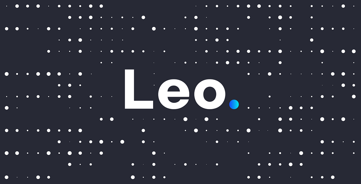 Intro to Leo Programming Language | by AmbaNet | Medium