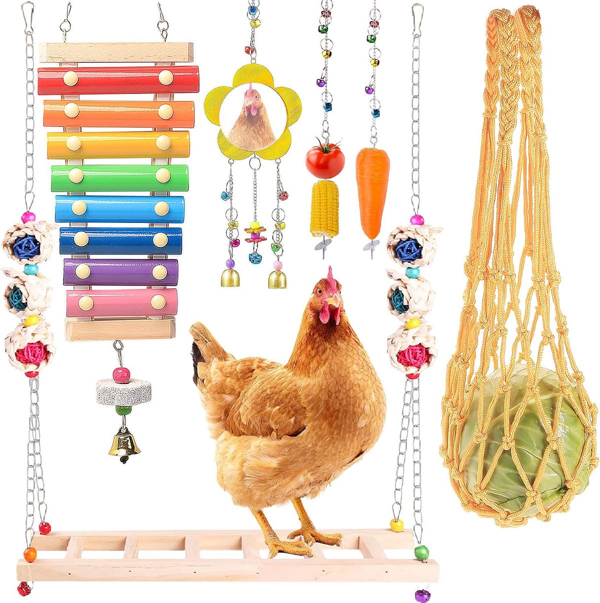 Chicken Toys for Coop 6PCS Review | by Larry McCauley | Jul, 2024 | Medium