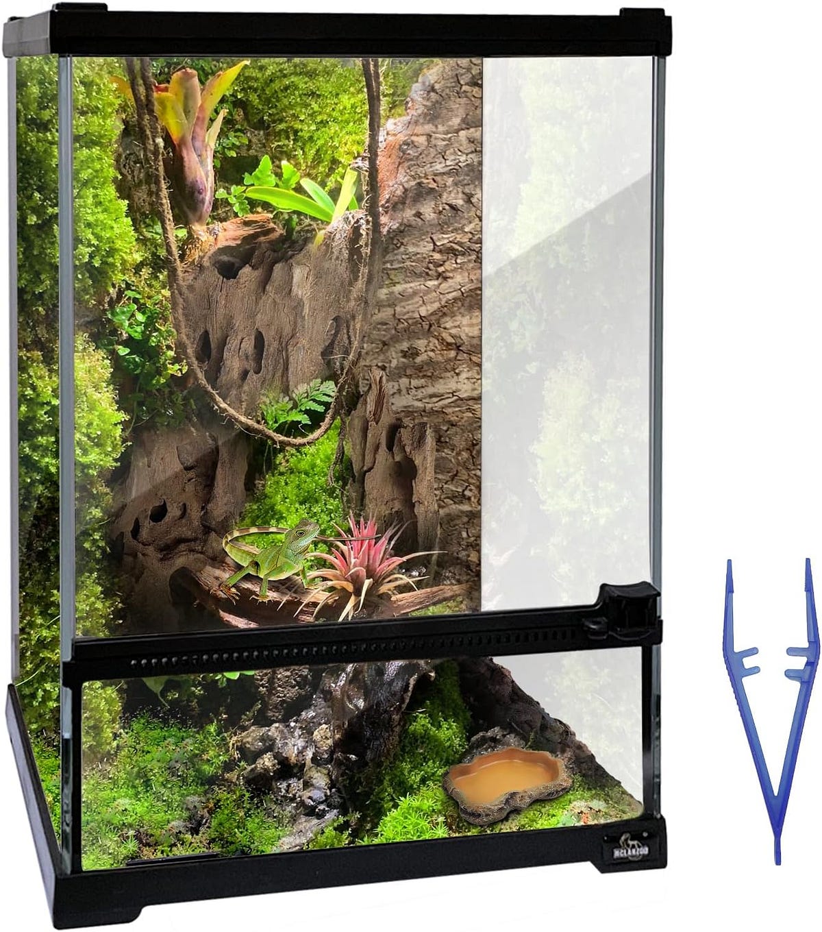 Reptile Glass Terrarium Tank Review: A Clear Winner | by James Glover ...