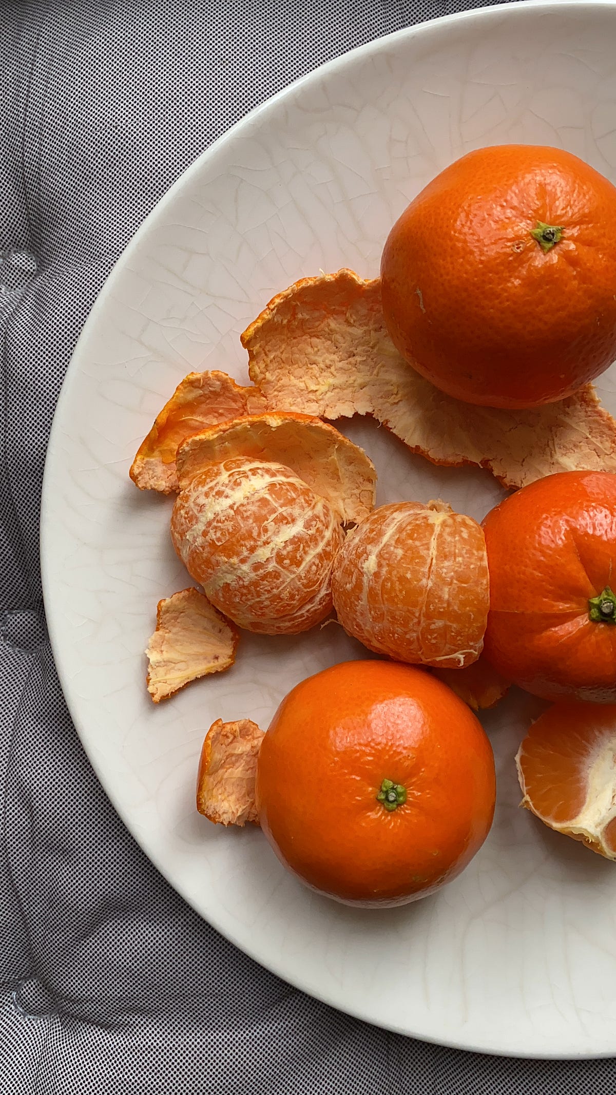 Oranges and Humans | by Maja Malinowska | Medium