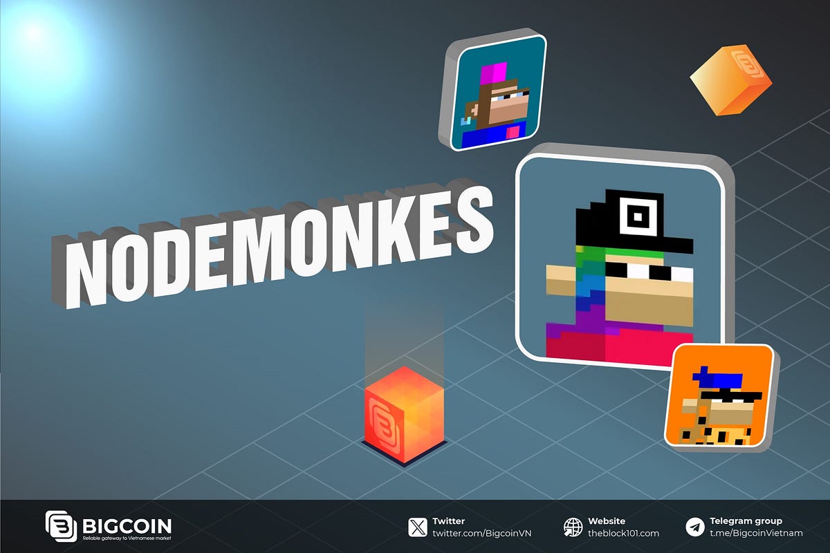 What is NodeMonkes? #1 NFT Collection on Bitcoin | by Bigcoinvietnamnft | May, 2024 | Medium