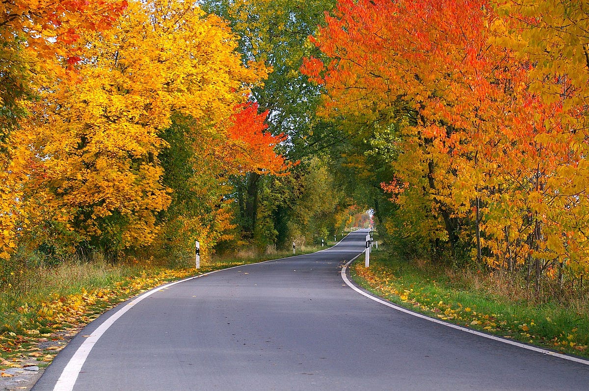 31 Positive Words to Help You Transform in October | by Roz Andrews ...