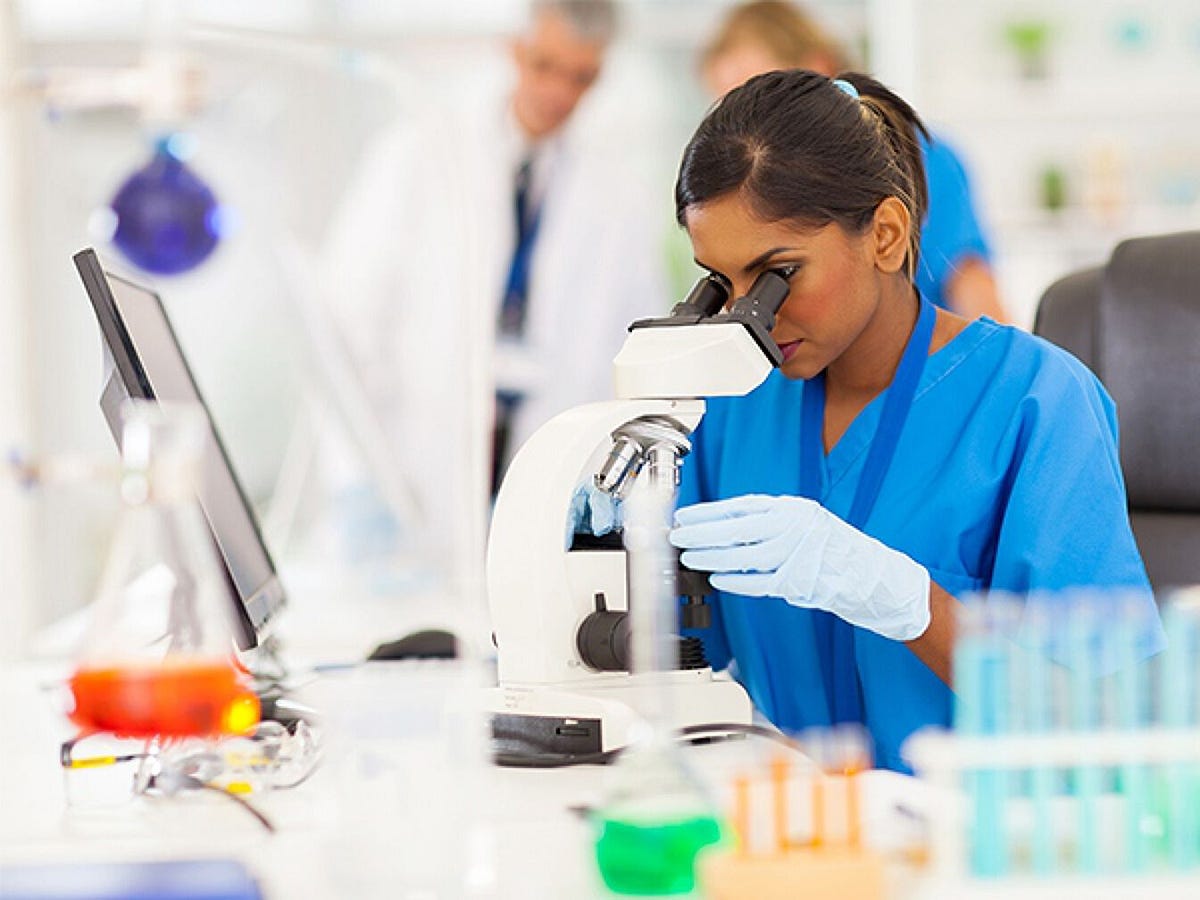 Puneet Labs: Our expertise | by punnet labs | Medium