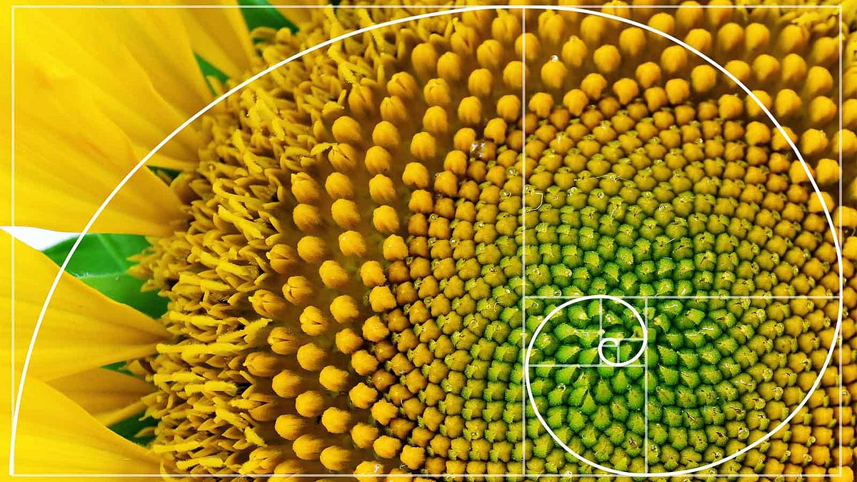 EXPLORING FIBONACCI SEQUENCE :. HISTORY AND RELATION WITH GOLDEN RATIO: | by Ponnapalli heman ...