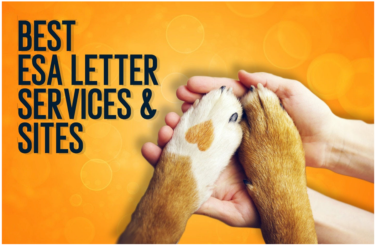 “Delving into the Promise of ESA Letters: A Comprehensive Investigation ...