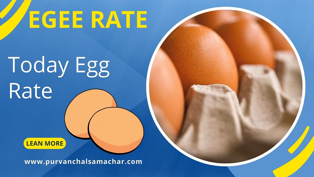 Egg Rate - Leelavatidevigzp - Medium