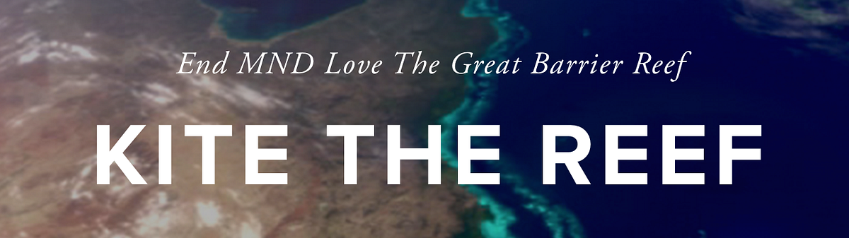 Kite the Reef. In a few months, a couple of brave… | by Bosky Optics | Medium