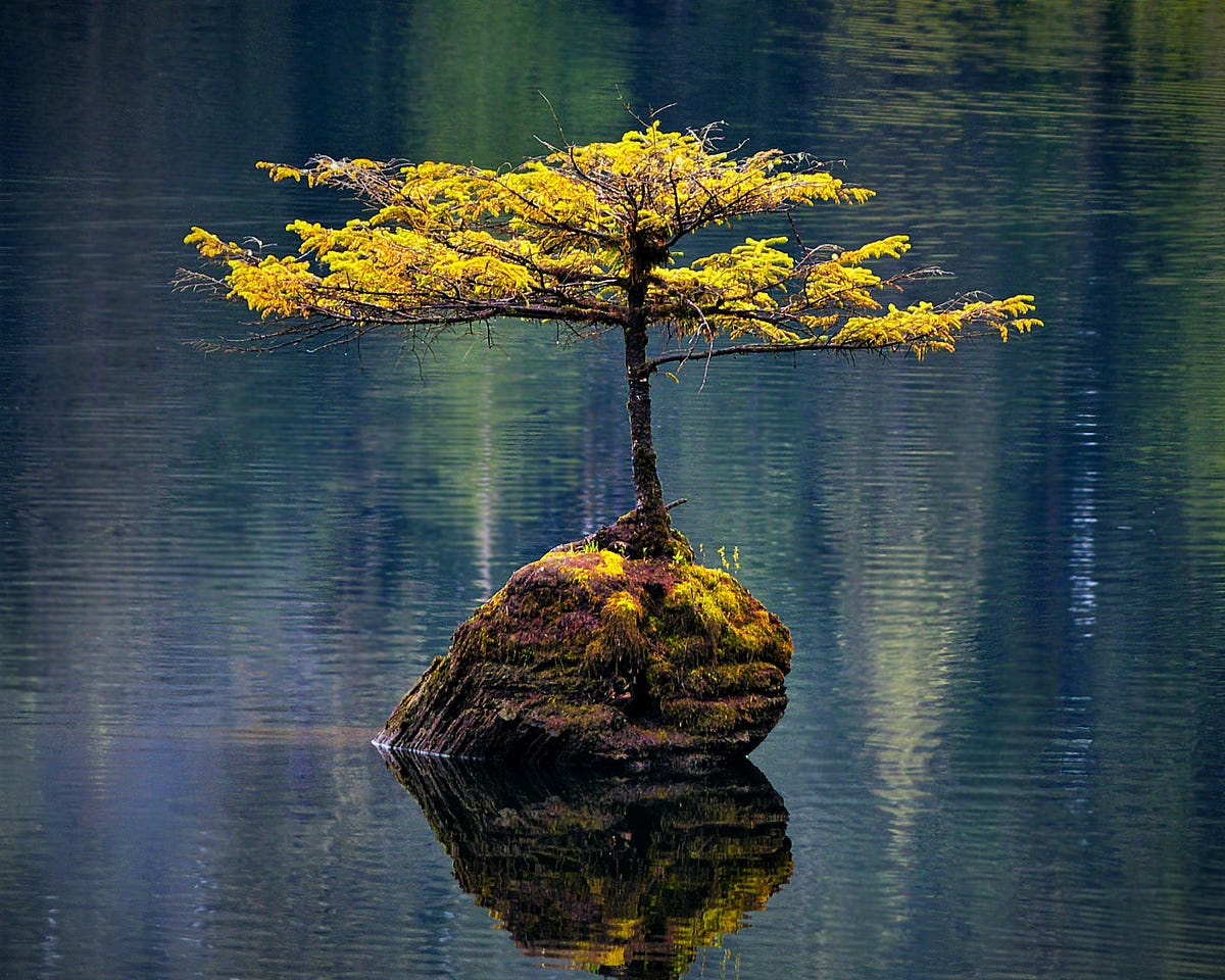 From Setbacks to Success: How to Master Perseverance | by Athena ...