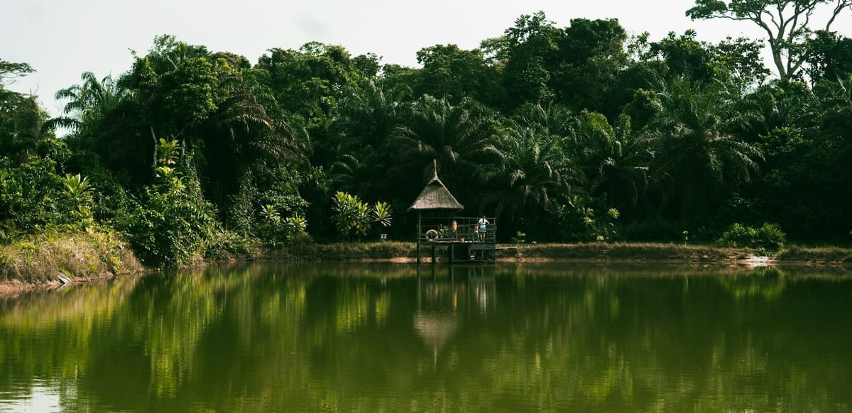 Brain-Eating Amoeba Found in Pools and Tanks: A Growing Monsoon Threat ...