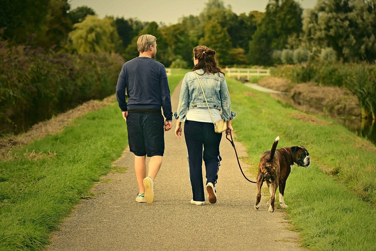 Stop exercising and start moving. How movement is superior to exercise | by David Cook | Lucid ...