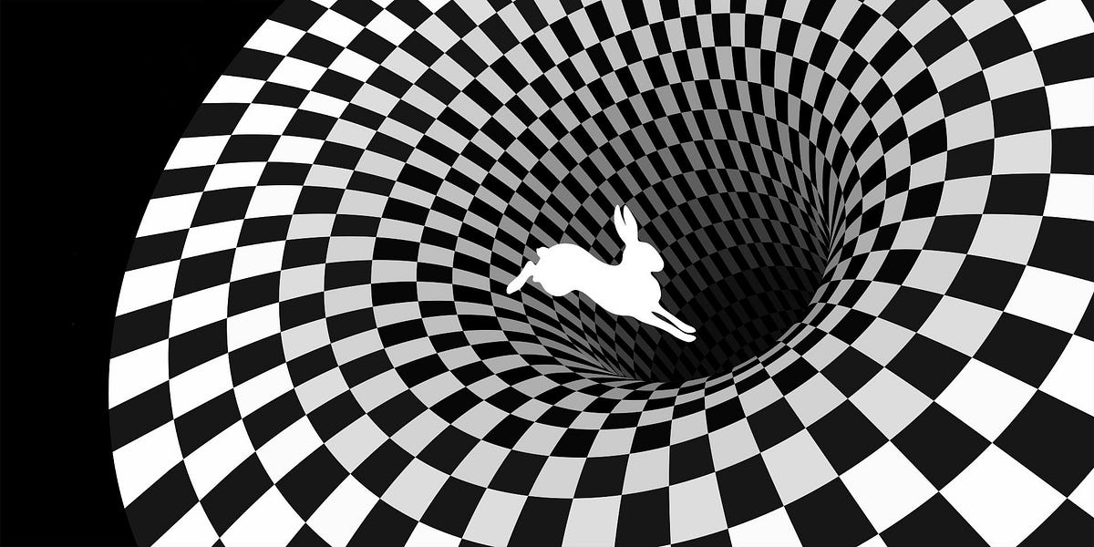 12 lessons learned from the initial pilot round of Rabbit Plane | by ...