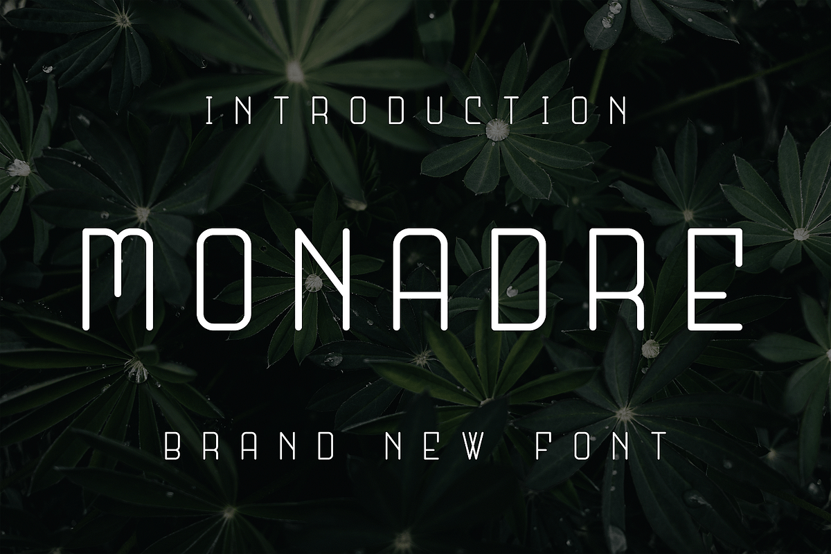 Monadre Font - Datadoodle - Medium
