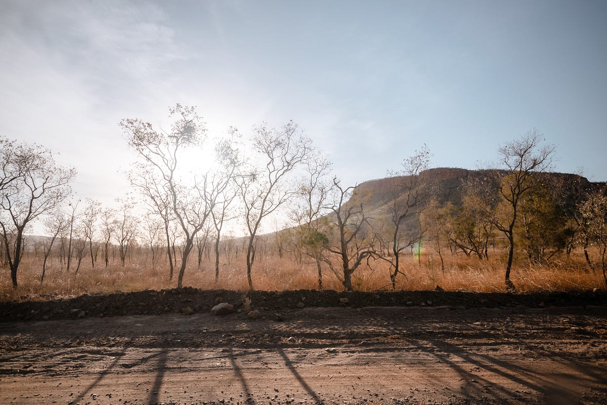 The Parched Earth, A Silent Crisis | by Hydrau | Sep, 2023 | Medium