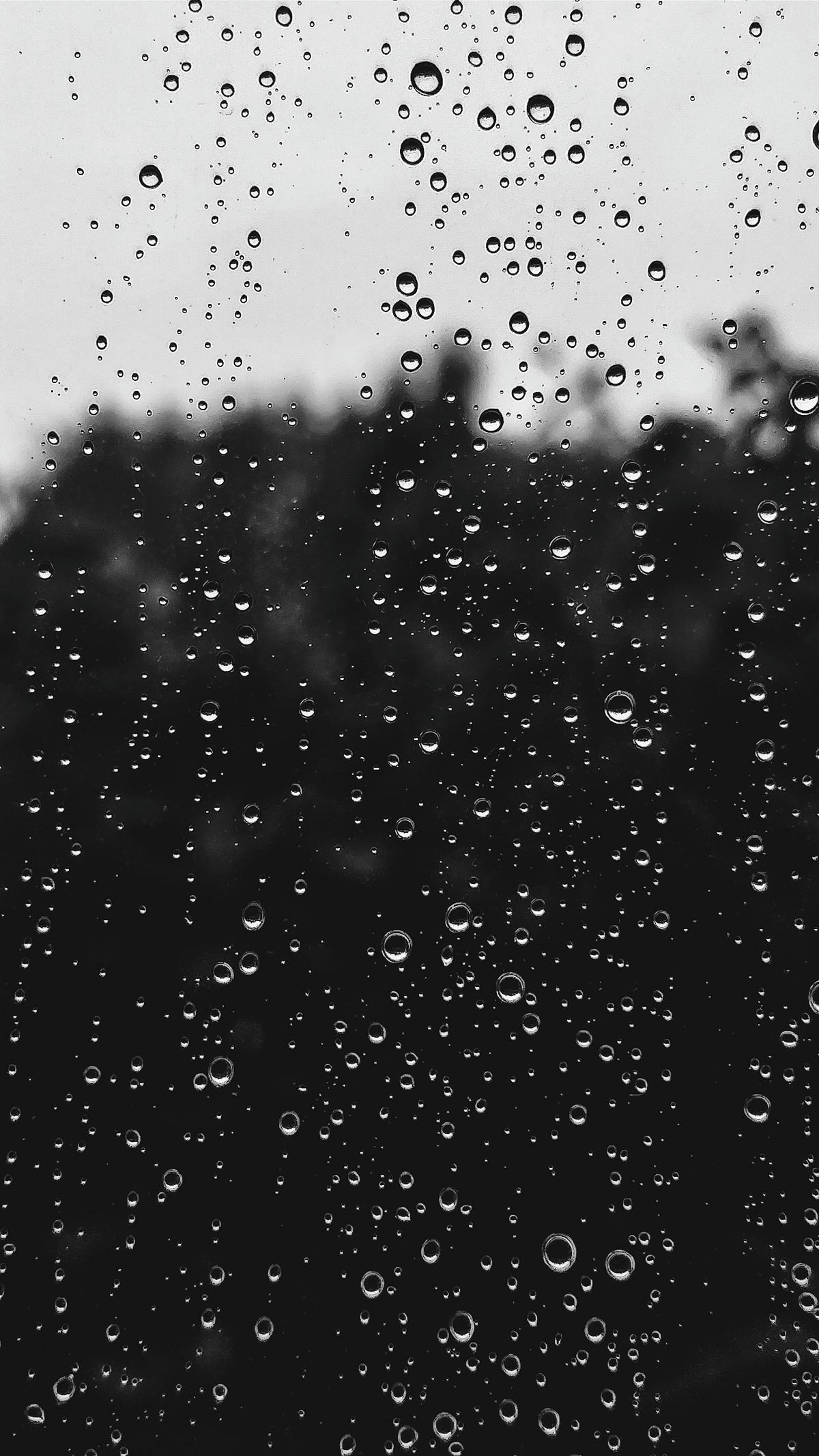 Rainwater Harvesting: Exploring Benefits, Disadvantages, and Methods ...