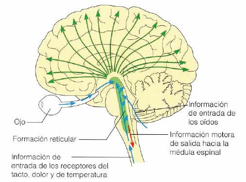 Art exposure as a learning process — In brief | by María Fernanda Pérez Pichardo | Medium