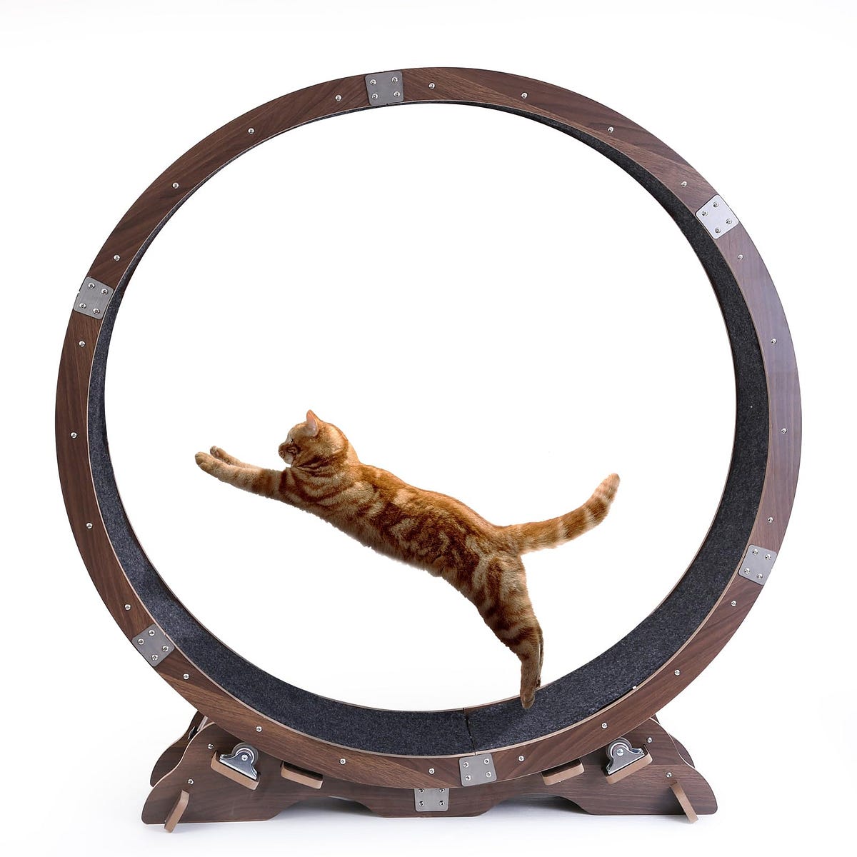 Catnip-Infused Fun: The Top 10 Toys to Keep Your Cat Engaged and ...