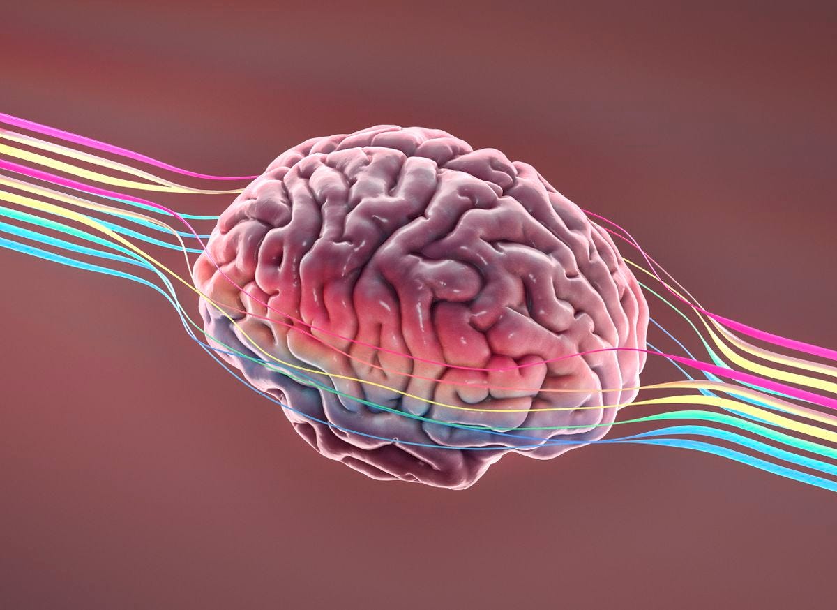 How Short Videos Rewire Your Brain (and Maybe Not for the Better) | by ...