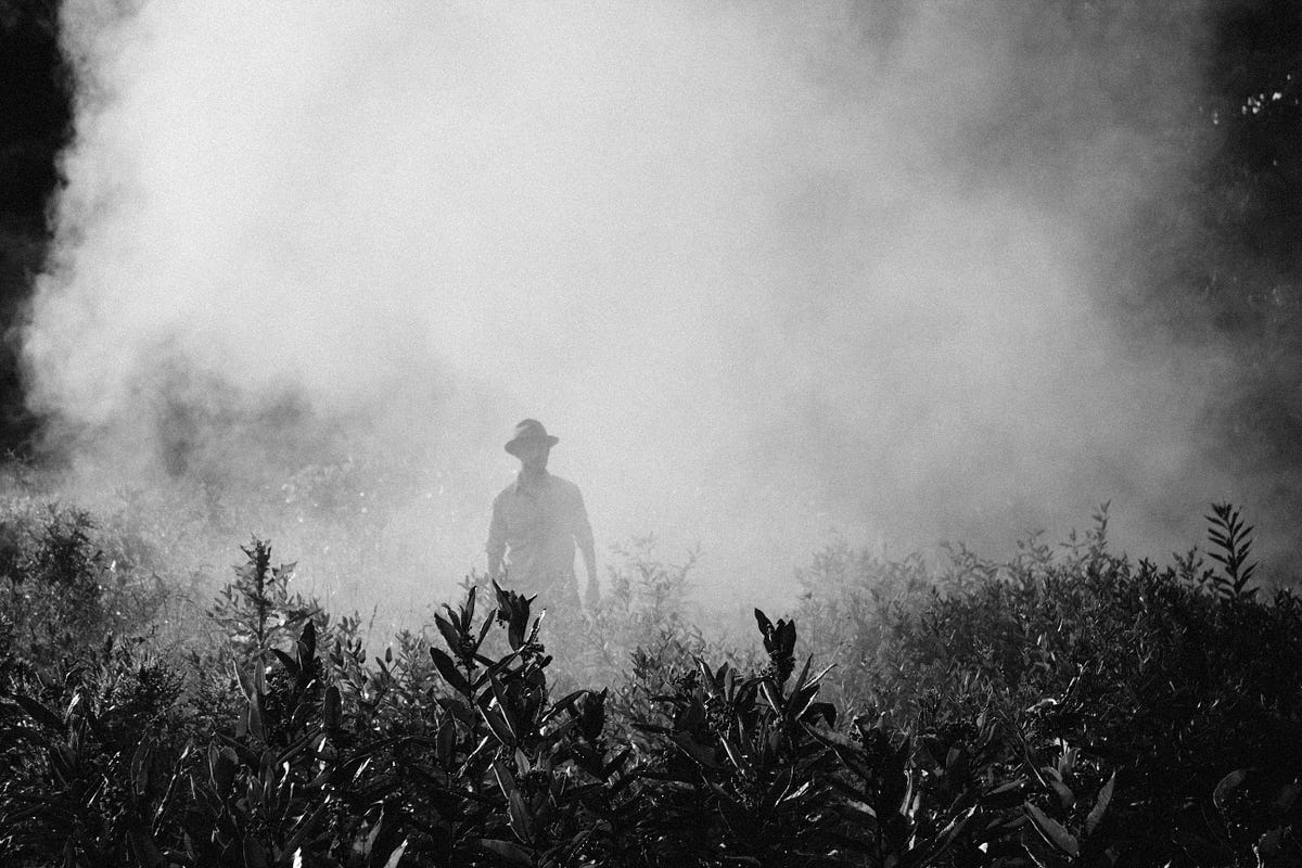 Fiction Writing Prompts — Week Twenty | by Chelsea Marie | The Storyteller’s Vault | Medium